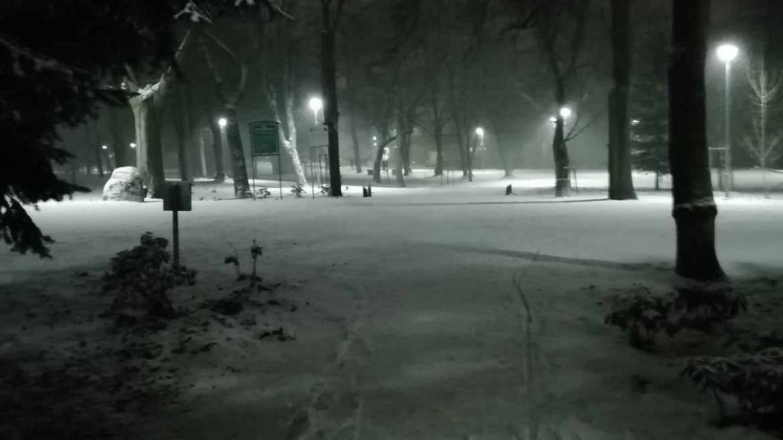 Apel do burmistrza w sprawie parku