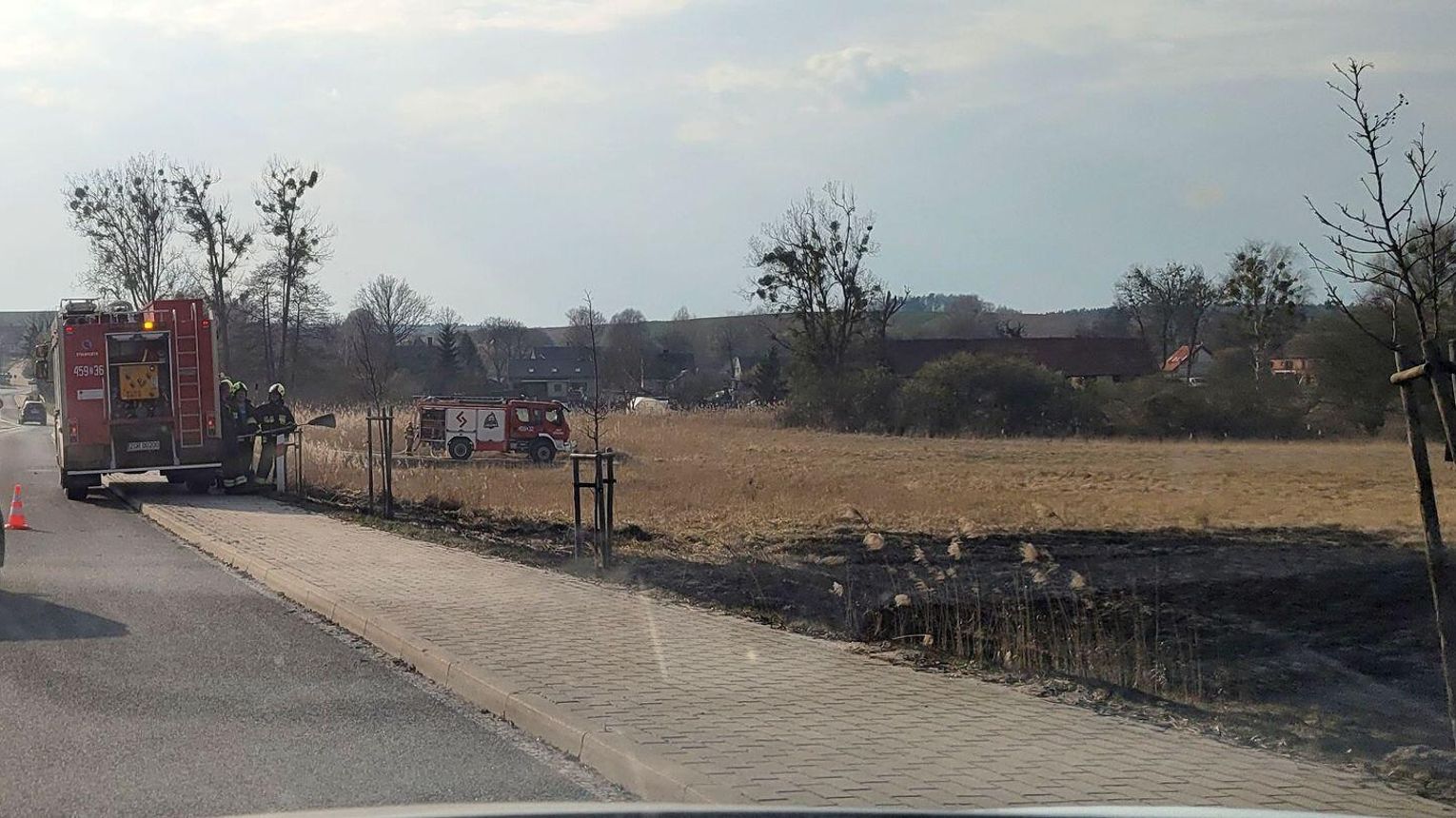 Bezmyślnie podpalono trzcinowisko. Musieli interweniować strażacy